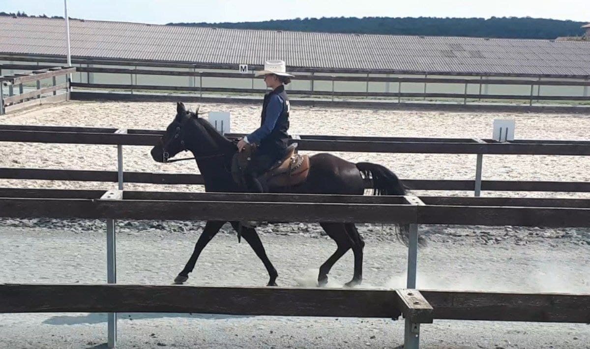 IGV Trainer's Weekend 2021 - Clay Pit Stables